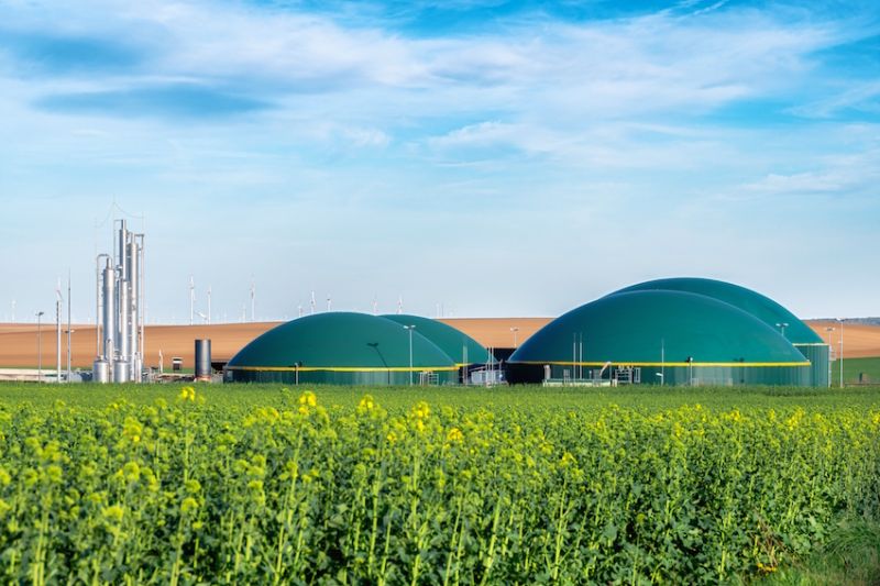 Five steps to promote efficiency in your biogas plant - Energy ...
